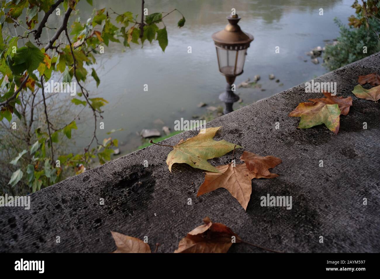 Autumn shadows scene hi-res stock photography and images - Alamy