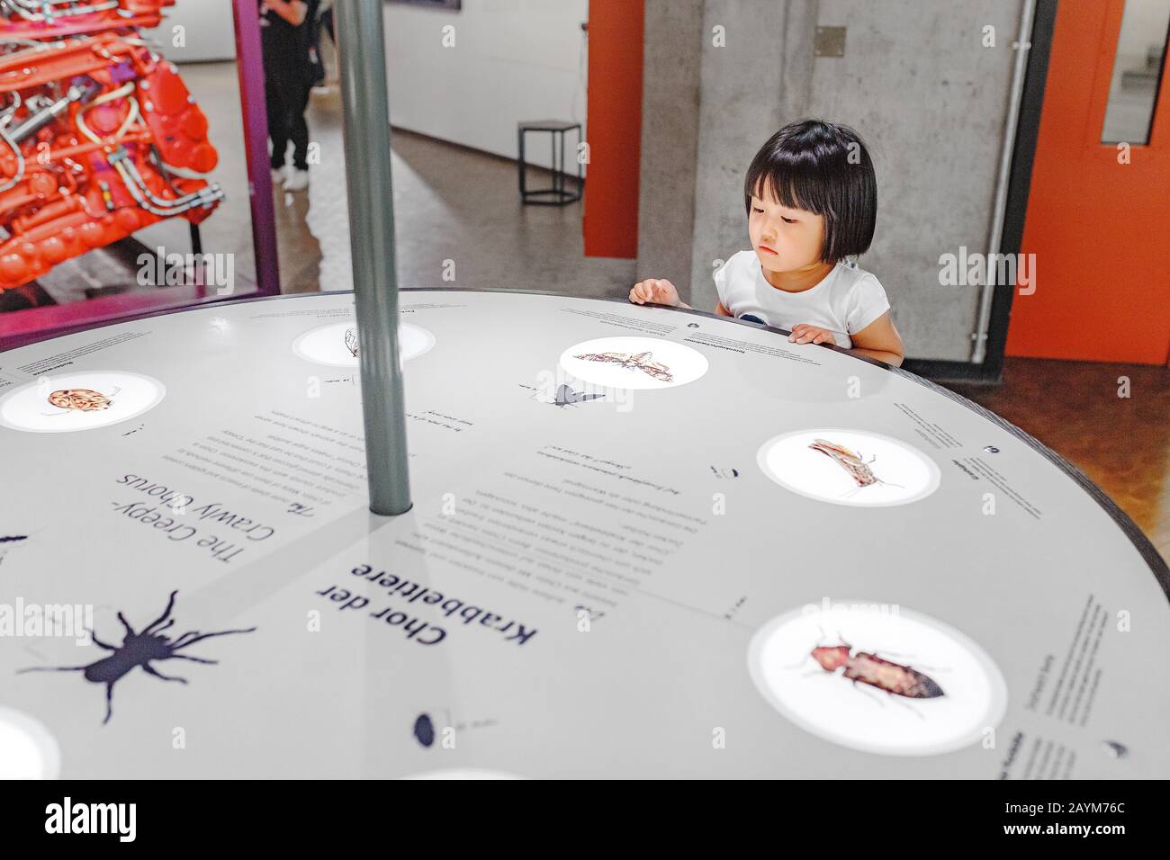 Interactive museum screen hi-res stock photography and images - Alamy