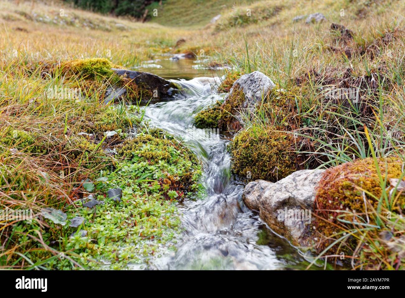 Small stream flowing in to river Lech in Lechtal valley, Lech, Arlberg ...