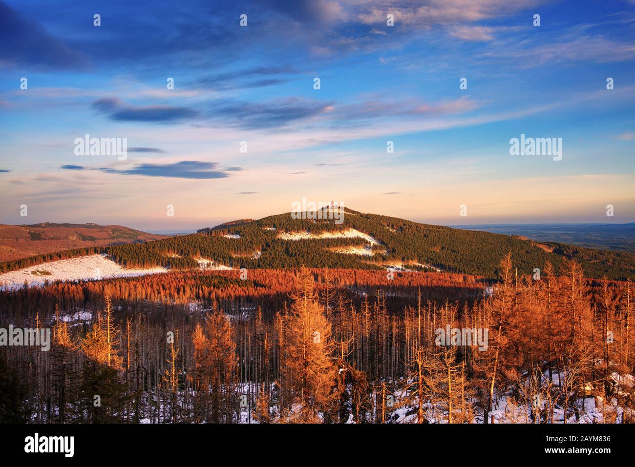 Bold colors hi-res stock photography and images - Alamy