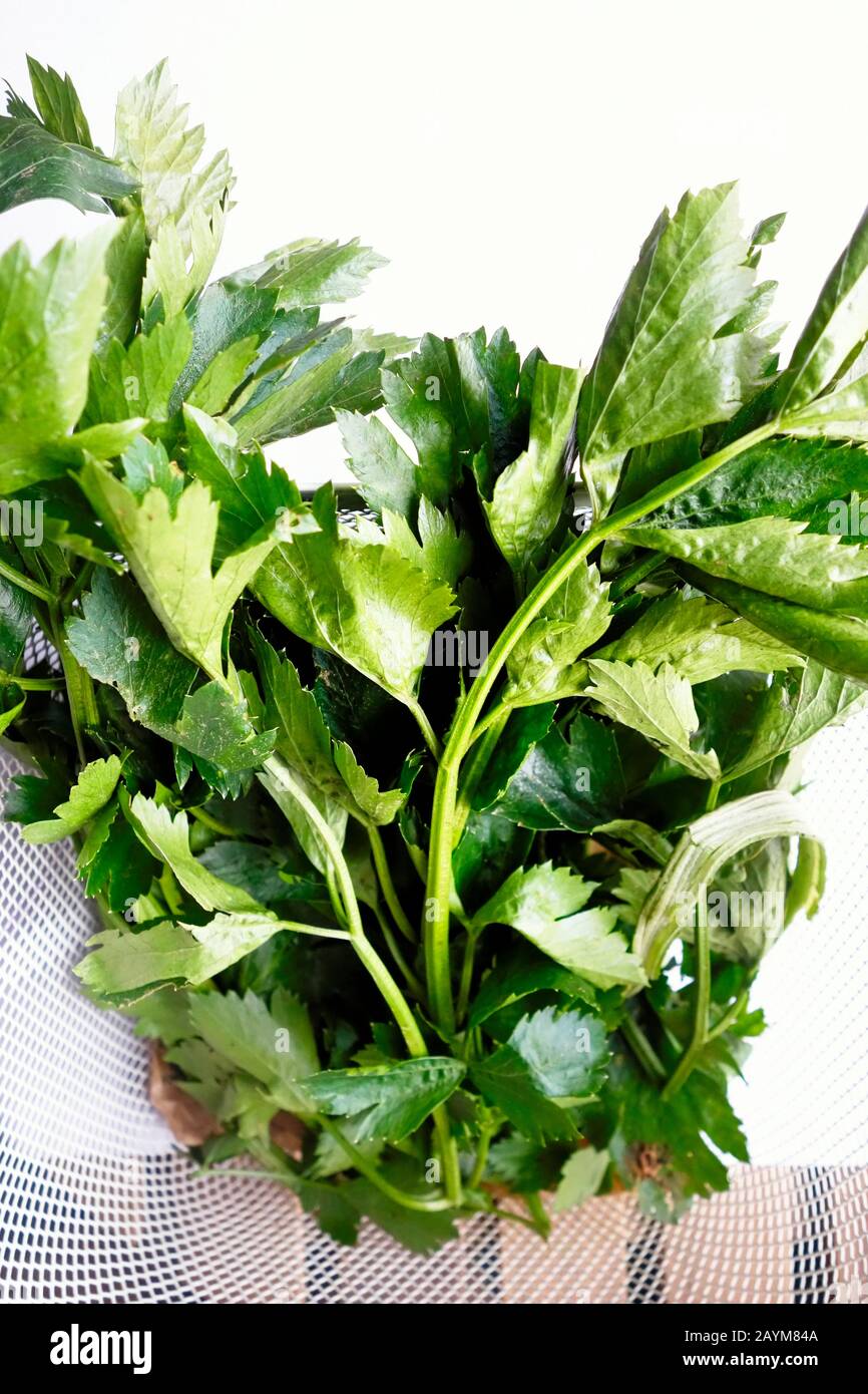 Fresh Celery in a Basket Stock Photo - Alamy