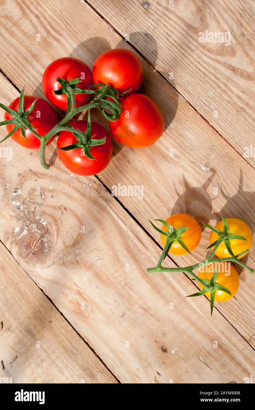 red and yellow natural tomatoes in composition Stock Photo - Alamy