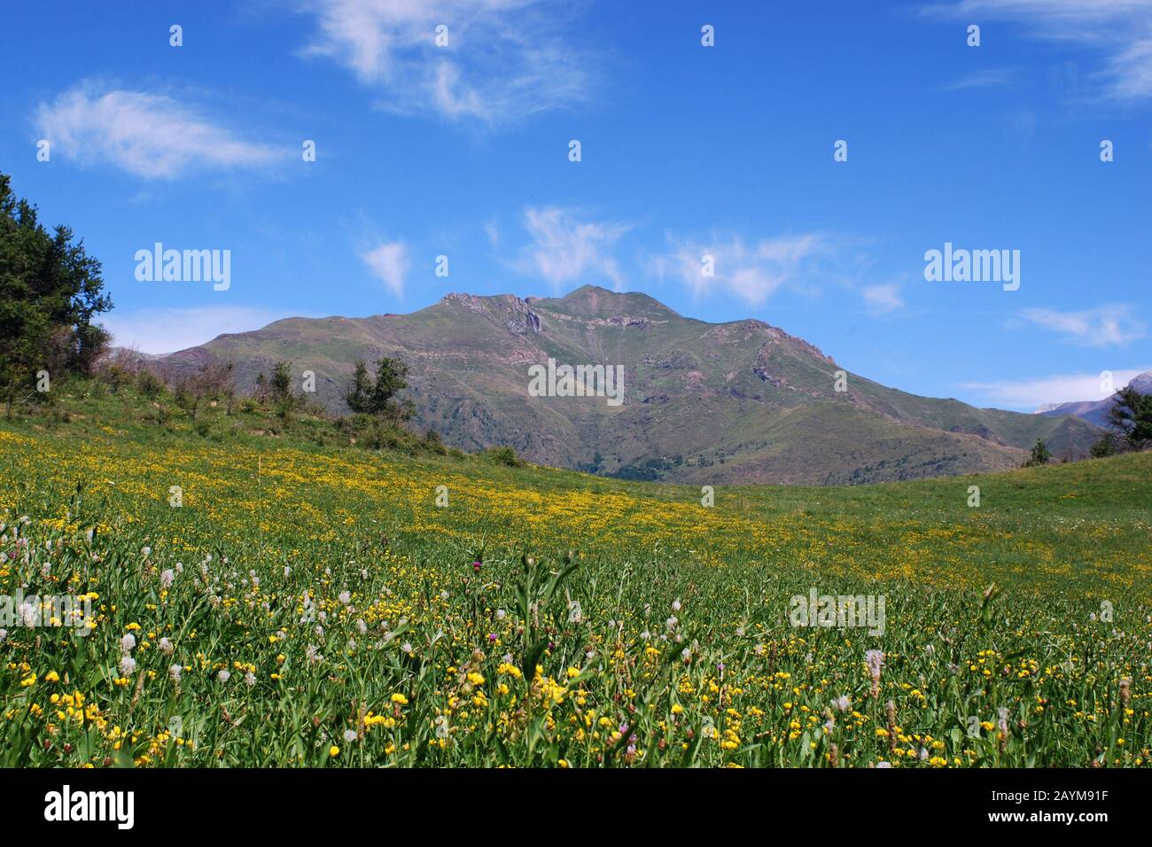 Spanish Pyrenees landscape Stock Photo - Alamy