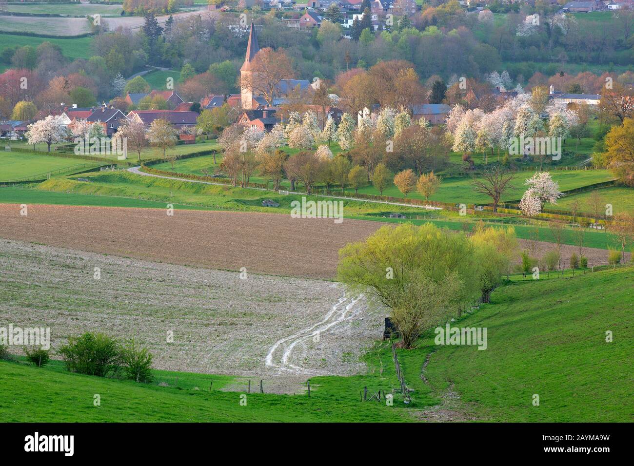 Belgian church churches belgium hi-res stock photography and images - Alamy