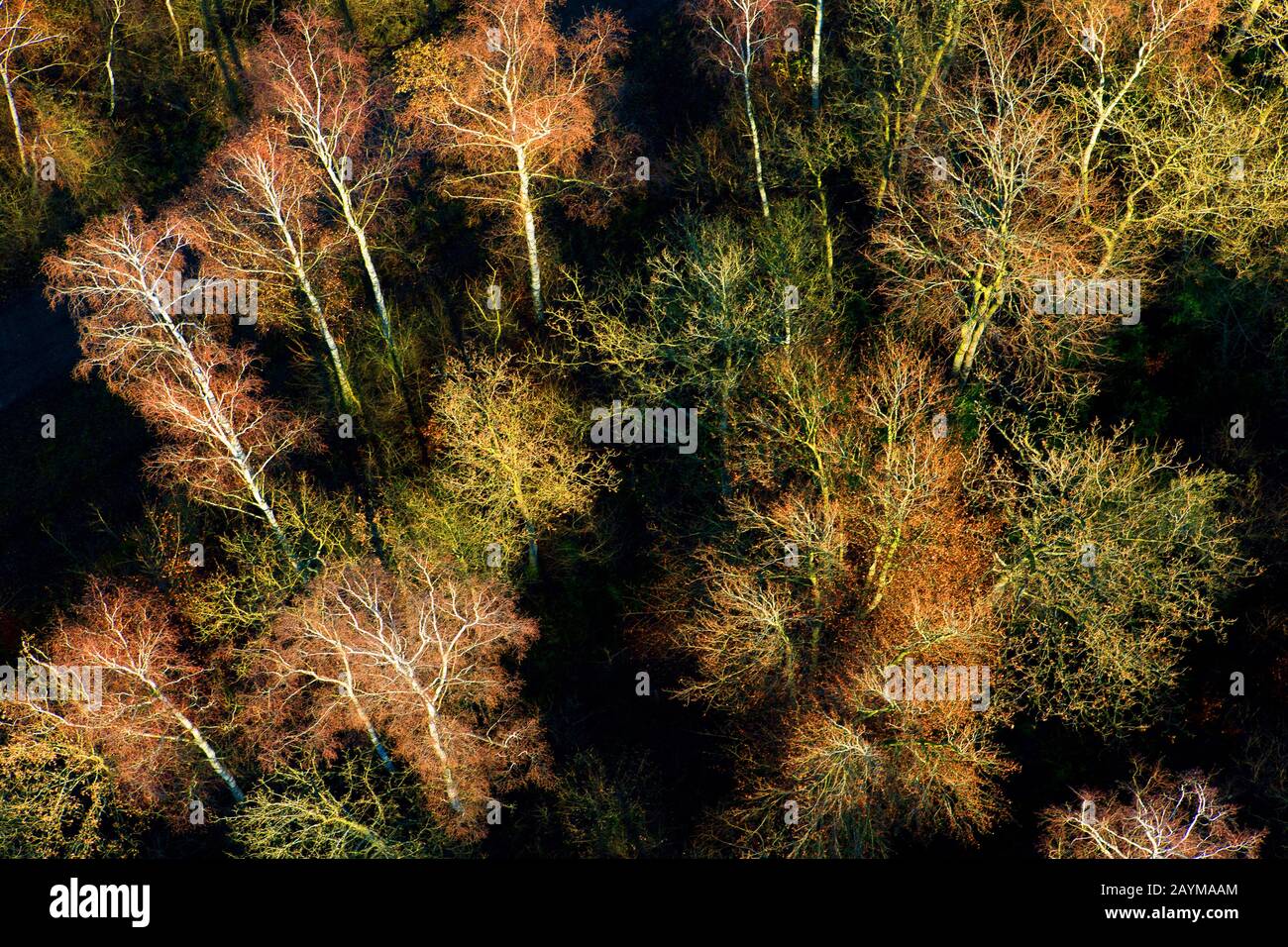 valley of Viroin, aerial view, Belgium, Ardennes, Dourbes, Viroin Stock ...