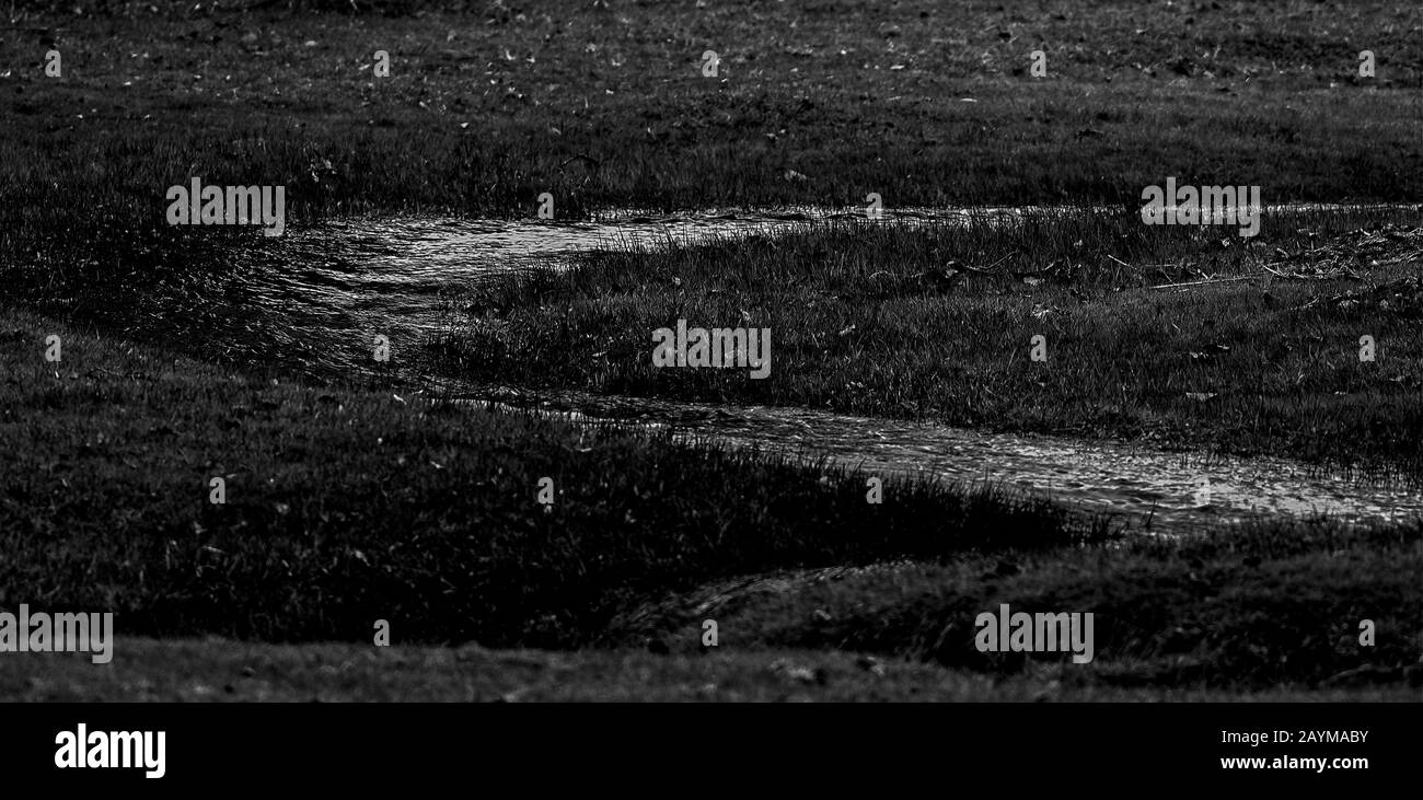 Grassland with stream hi-res stock photography and images - Alamy