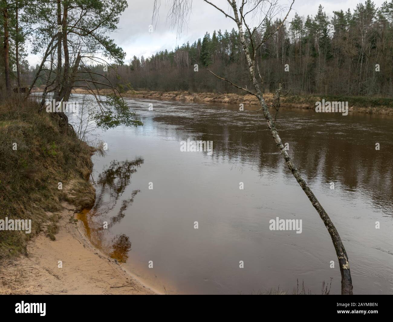 spring landscape with river and trees on shore, tree reflections in ...