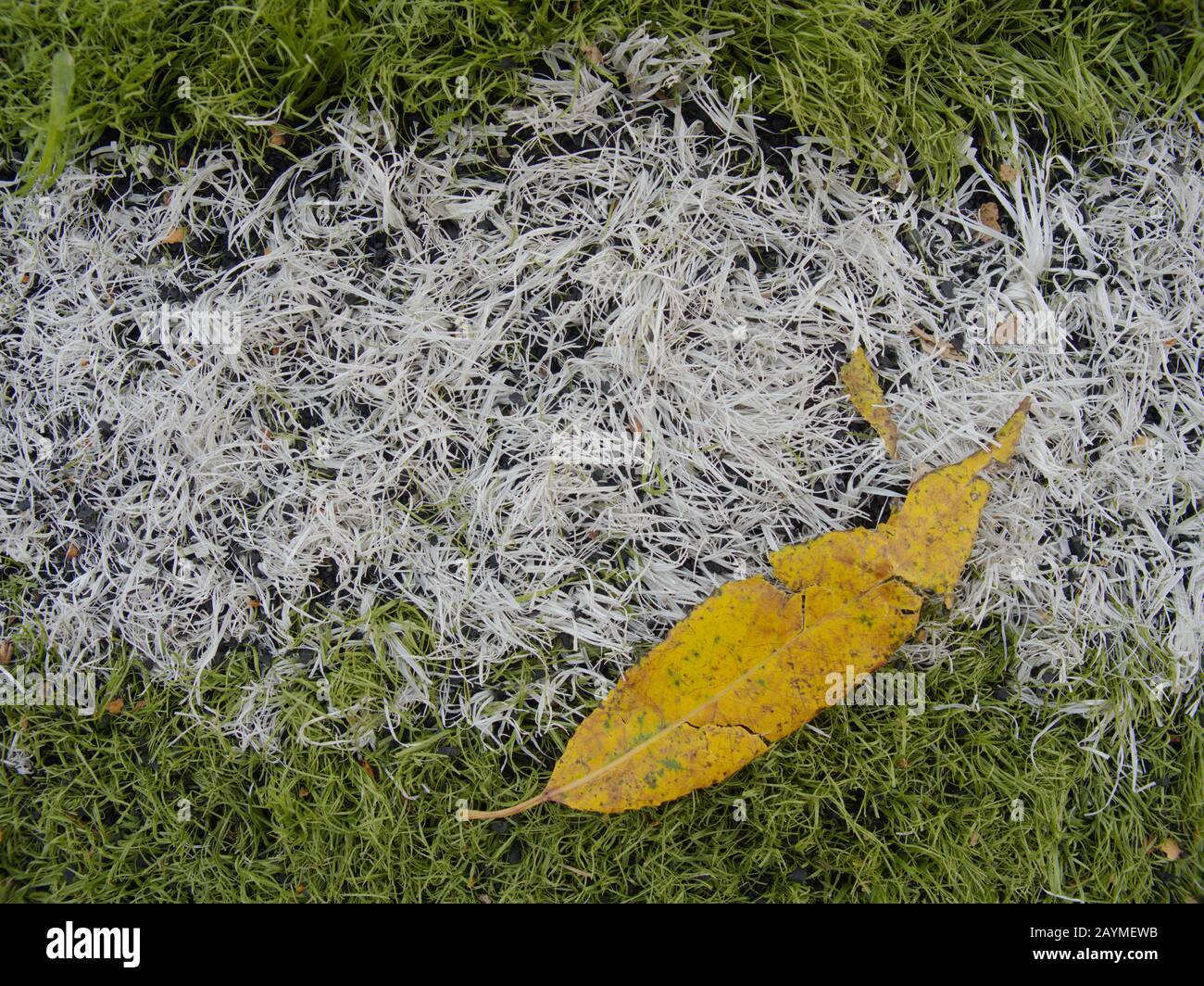 Rubbery ground hi-res stock photography and images - Alamy