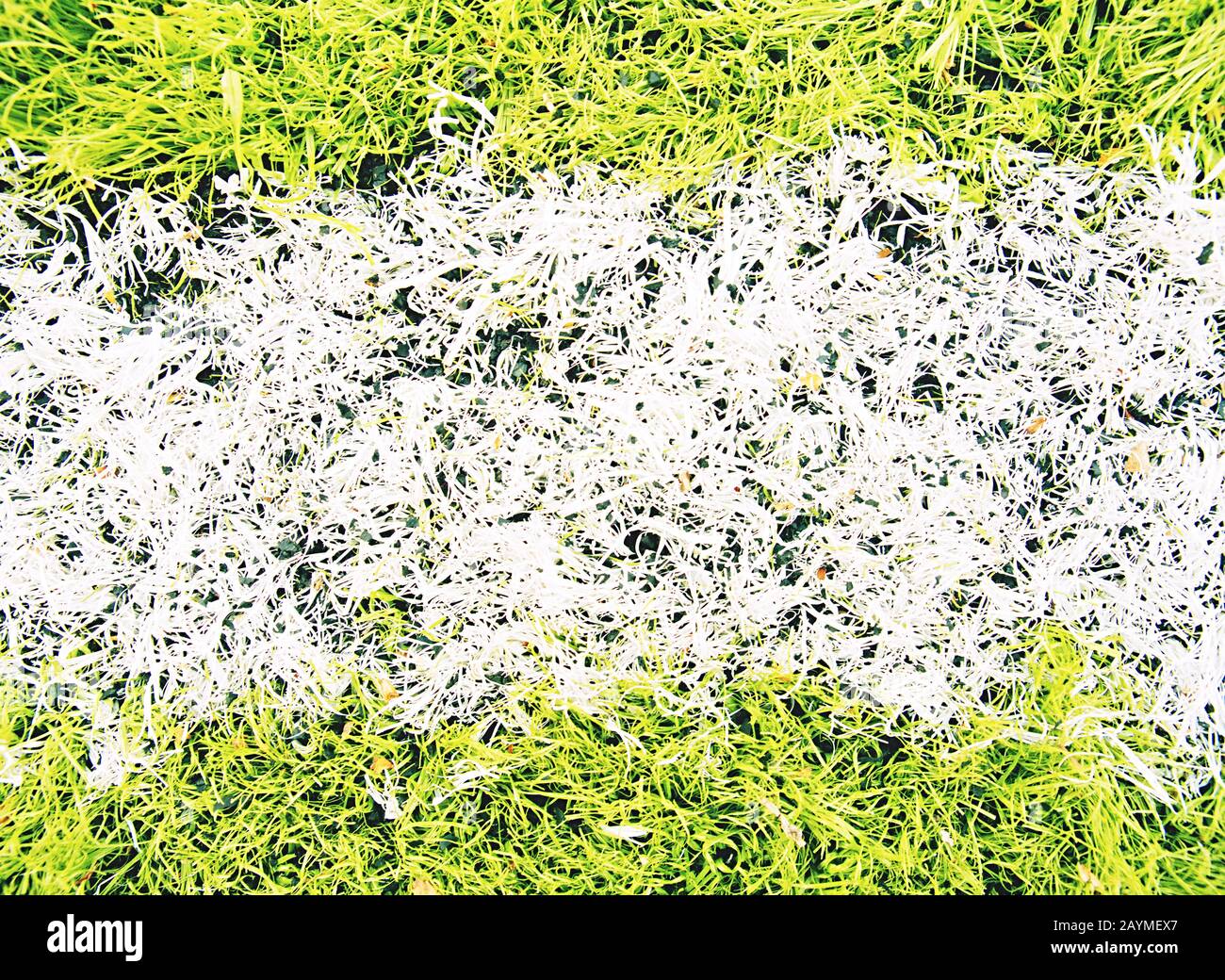 Detail of used synthetic grass for football field with milled rubbery ...
