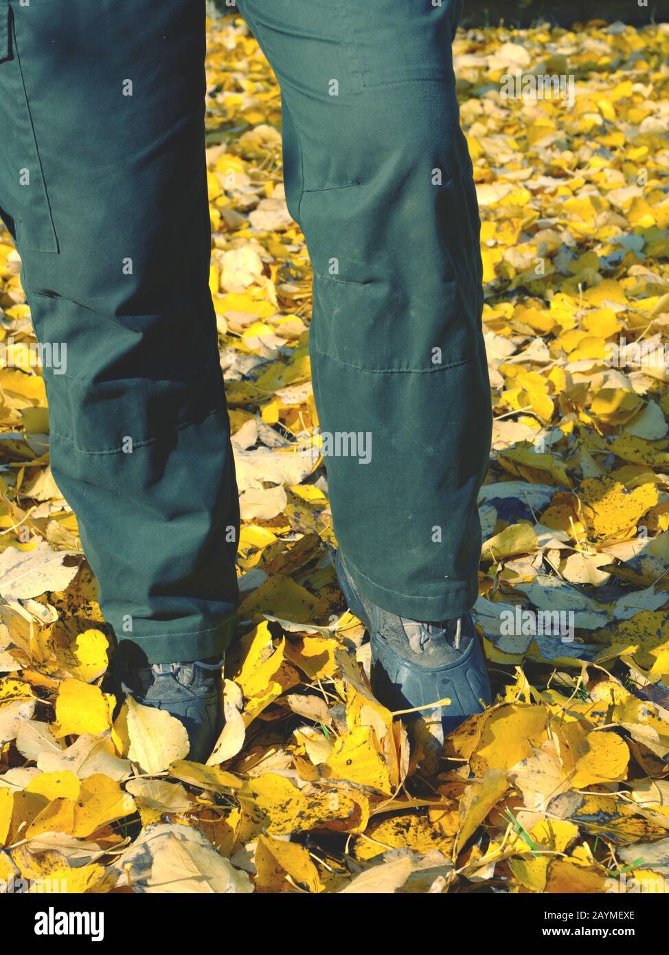 Rubbery legs hi-res stock photography and images - Alamy