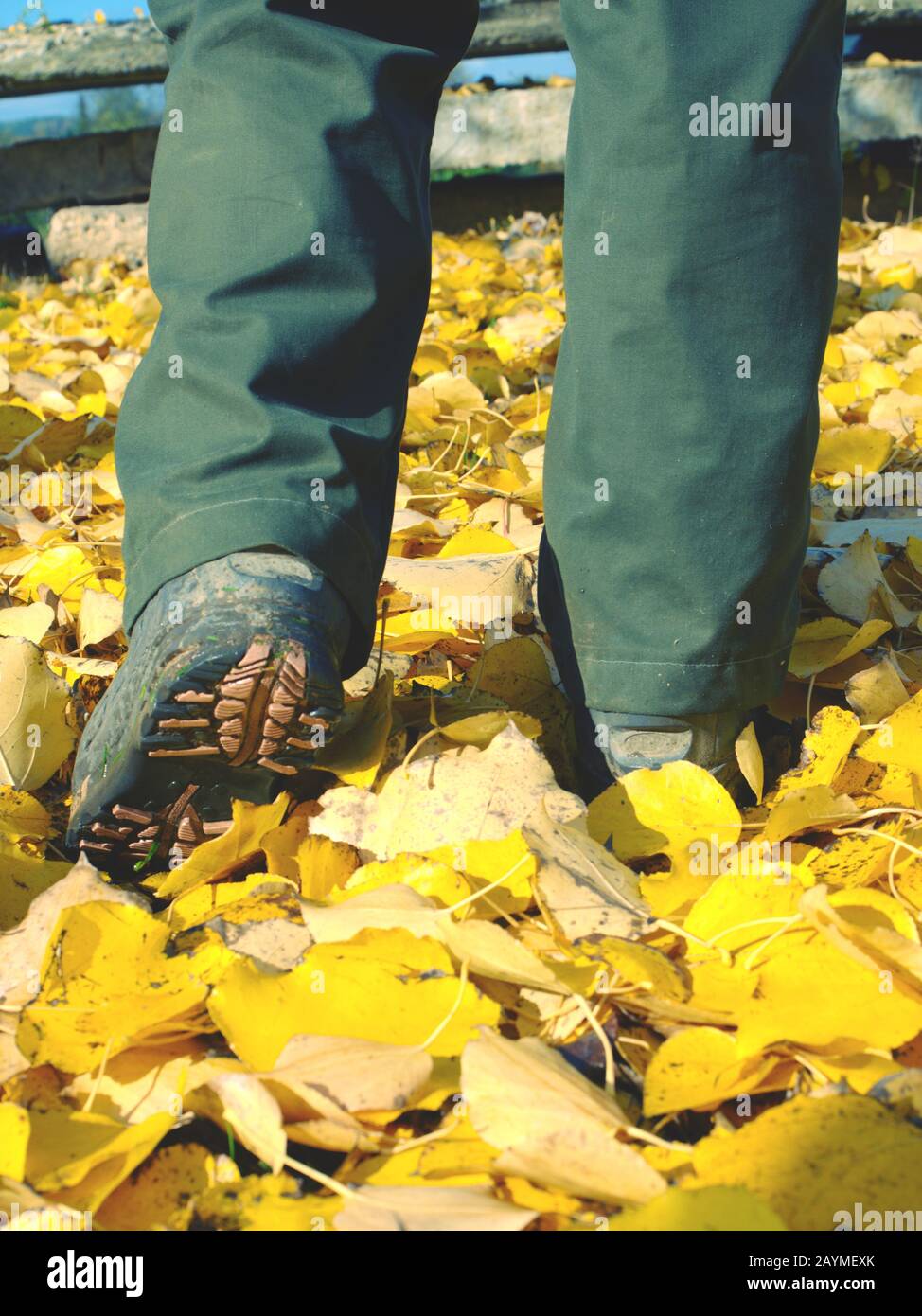 Fragment of brown boots standing on fallen yellow leaves. Season change ...