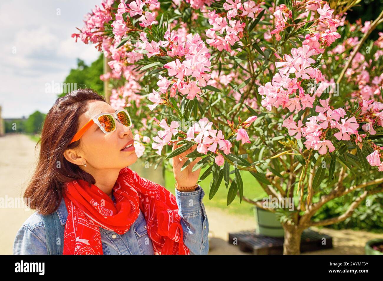 Woman sniffing nerium oleander flowers in the garden Stock Photo - Alamy