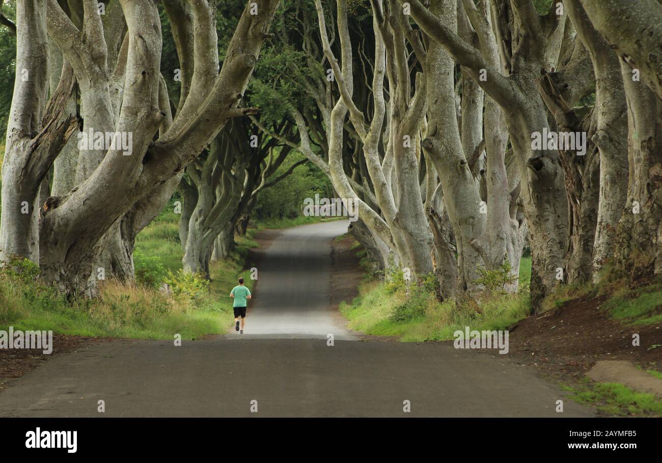 The dark hedges runner hi-res stock photography and images - Alamy