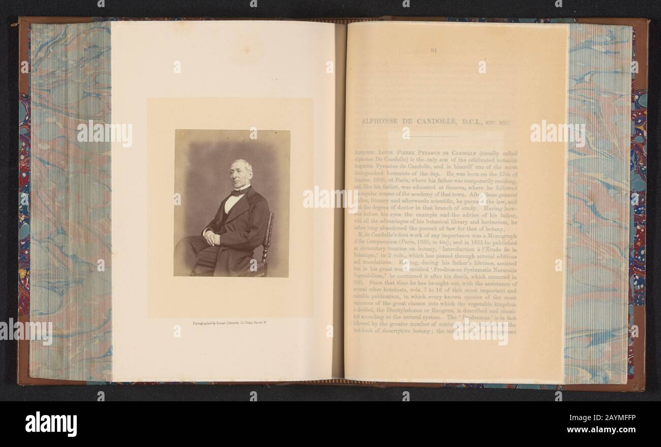 Alphonse pyramus de candolle hi-res stock photography and images - Alamy