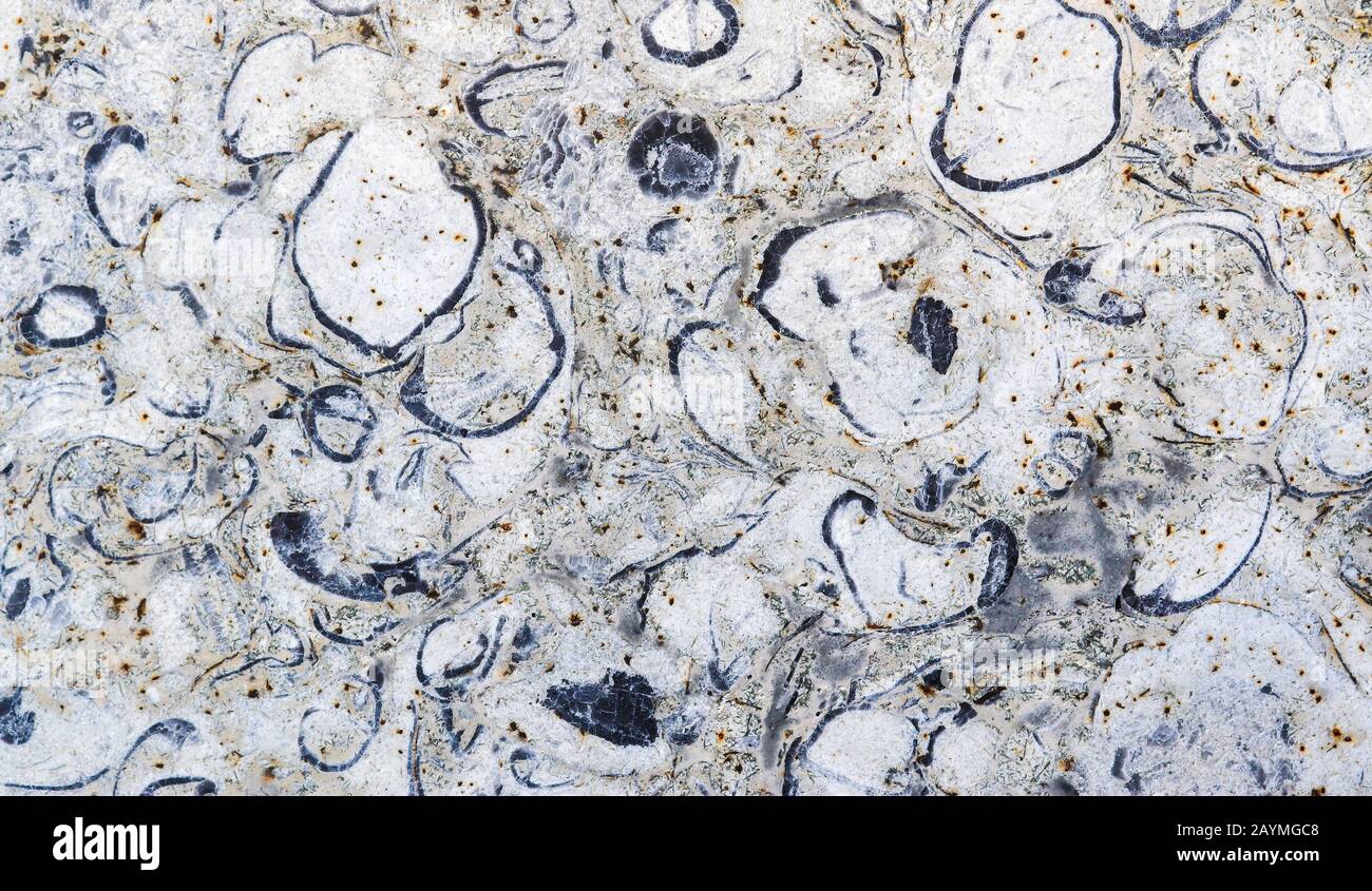 Beautiful and elegant marble surface textures in high resolution Stock ...