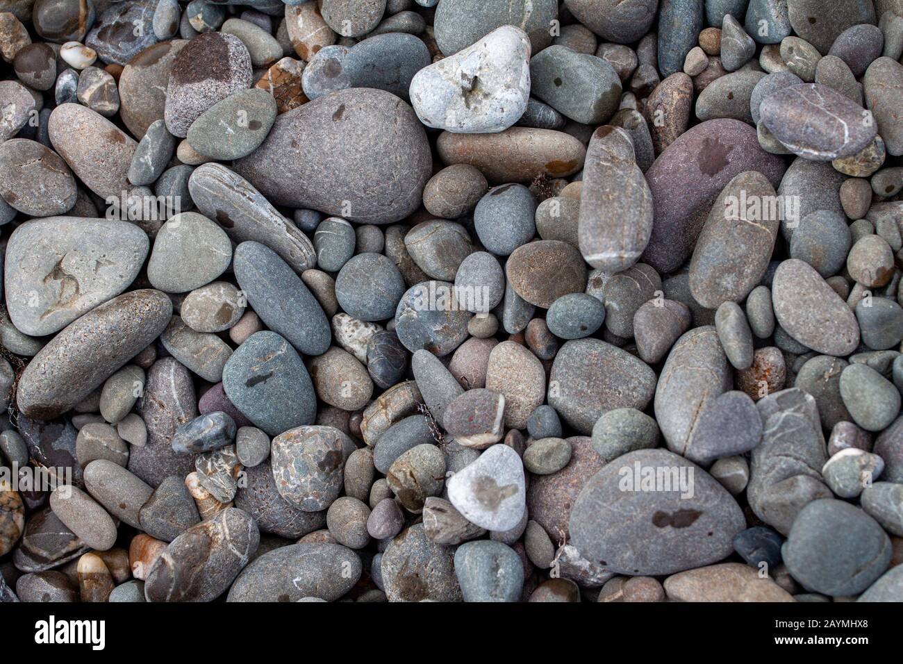 sea pebbles colored granite on the beach background stones. The shore ...