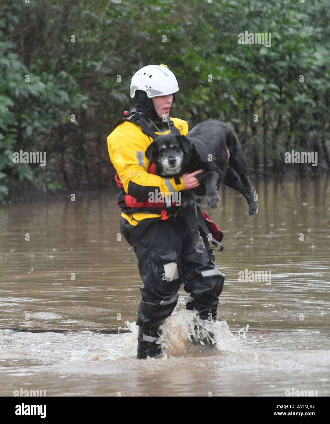 A Firefighter Carries A Dog To Safety As Part Of Ongoing Rescue