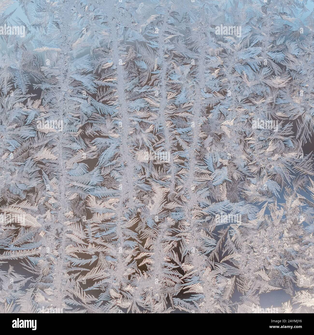 Frost on glass hi-res stock photography and images - Alamy