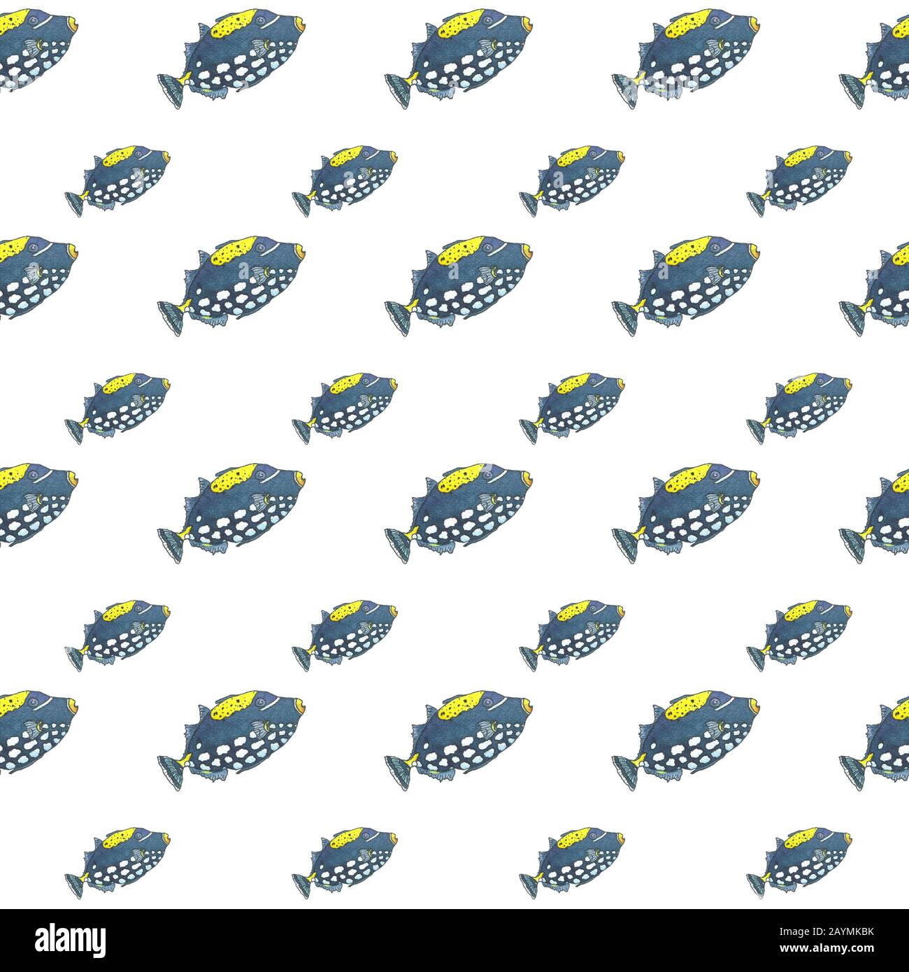 Seamless pattern of clown trigger fish. Hand drawing sketch on white ...