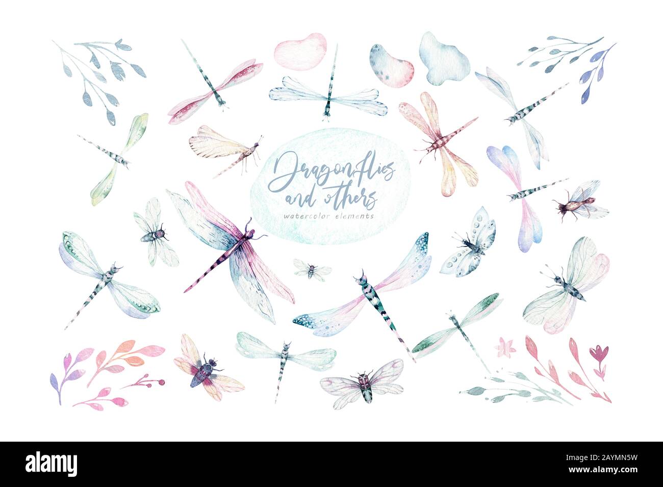 Watercolor fly dragonfly spring wings illustration summer insect ...