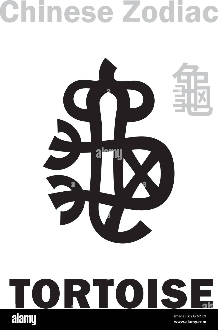 Old Turtle Vector High Resolution Stock Photography and Images - Alamy