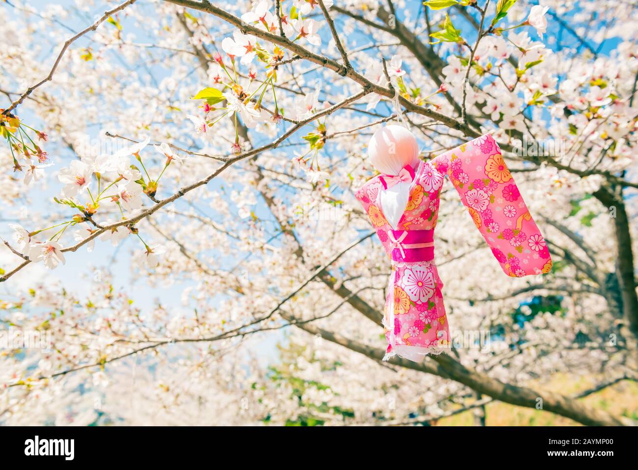 Teru Teru Bozu. Japanese Rain Doll hanging on Sakura tree to pray for ...
