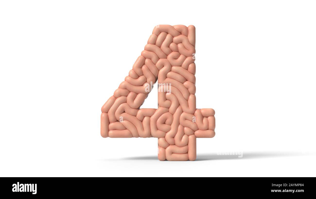 human brain in shape of number 4. suitable for brain, biology, medicine ...