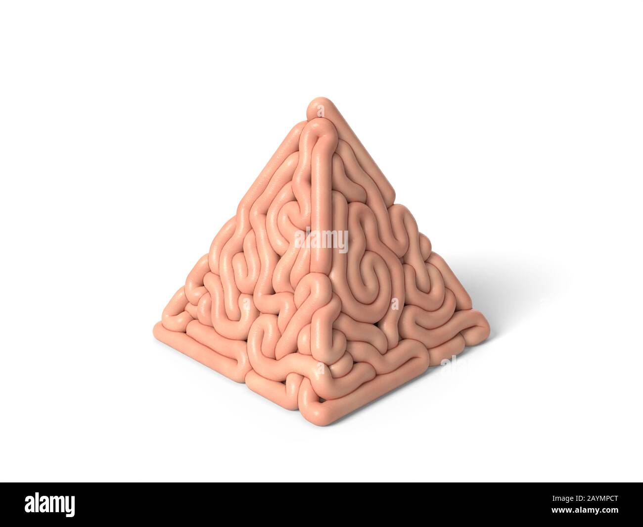human brain in shape of pyramid. suitable for brain, biology, medicine ...