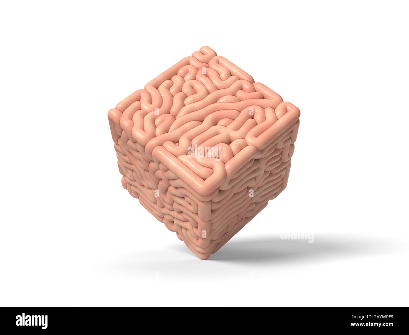 human brain in shape of cube. suitable for brain, biology, medicine ...