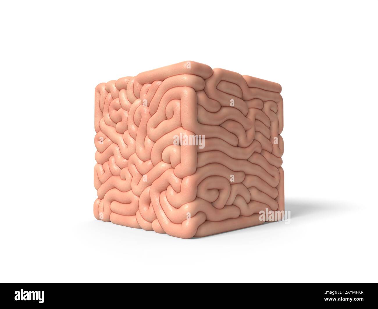 human brain in shape of cube. suitable for brain, biology, medicine ...