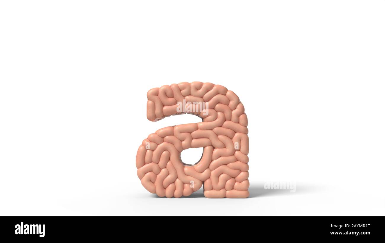 human brain in shape of letter a. suitable for brain, biology, medicine ...