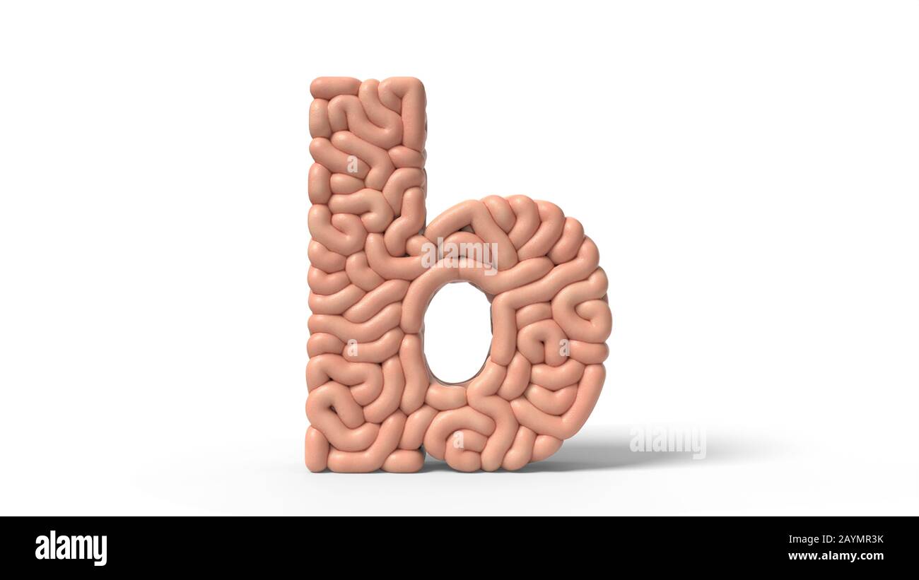 human brain in shape of letter b. suitable for brain, biology, medicine ...