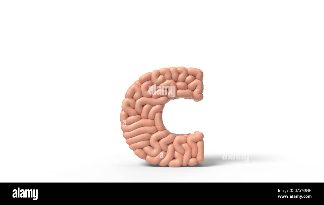 human brain in shape of letter c. suitable for brain, biology, medicine ...