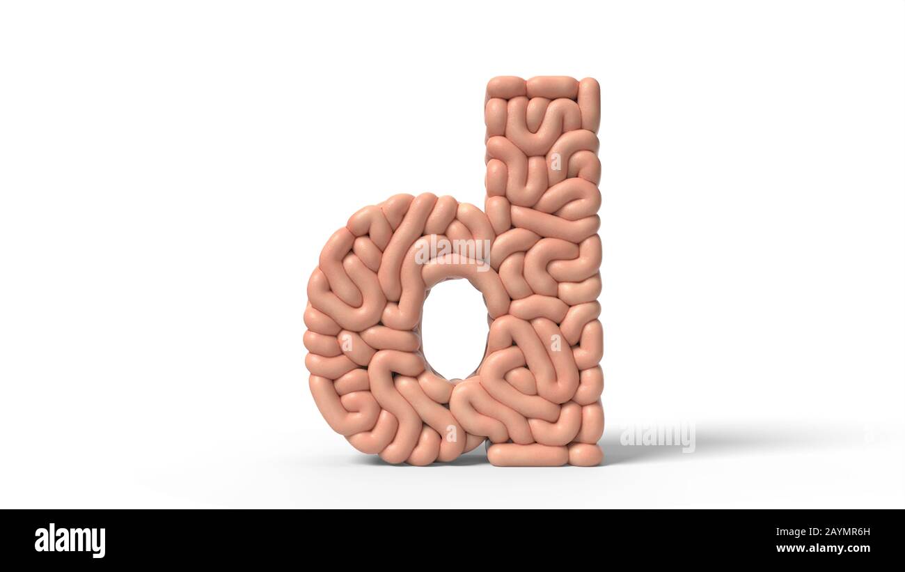 human brain in shape of letter d. suitable for brain, biology, medicine ...