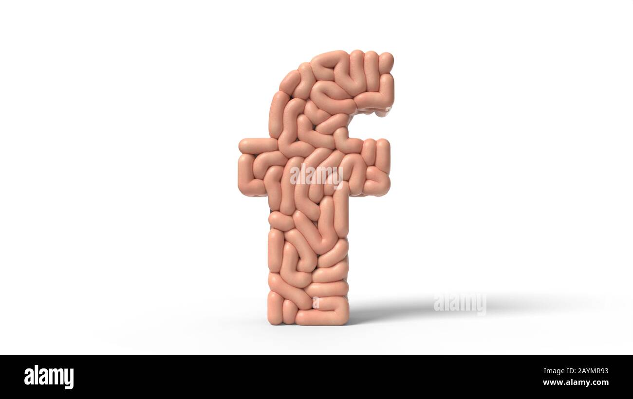 human brain in shape of letter f. suitable for brain, biology, medicine ...