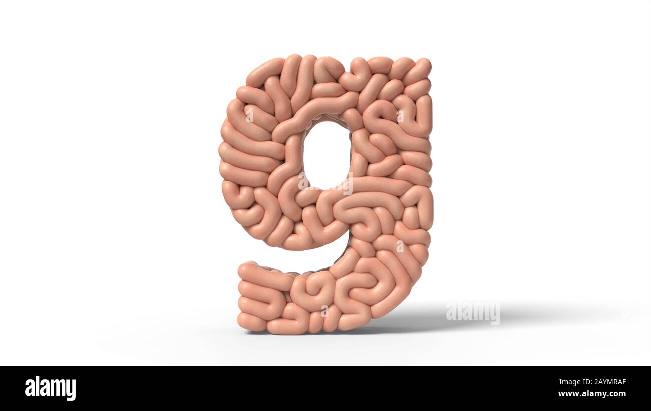 human brain in shape of letter g. suitable for brain, biology, medicine ...