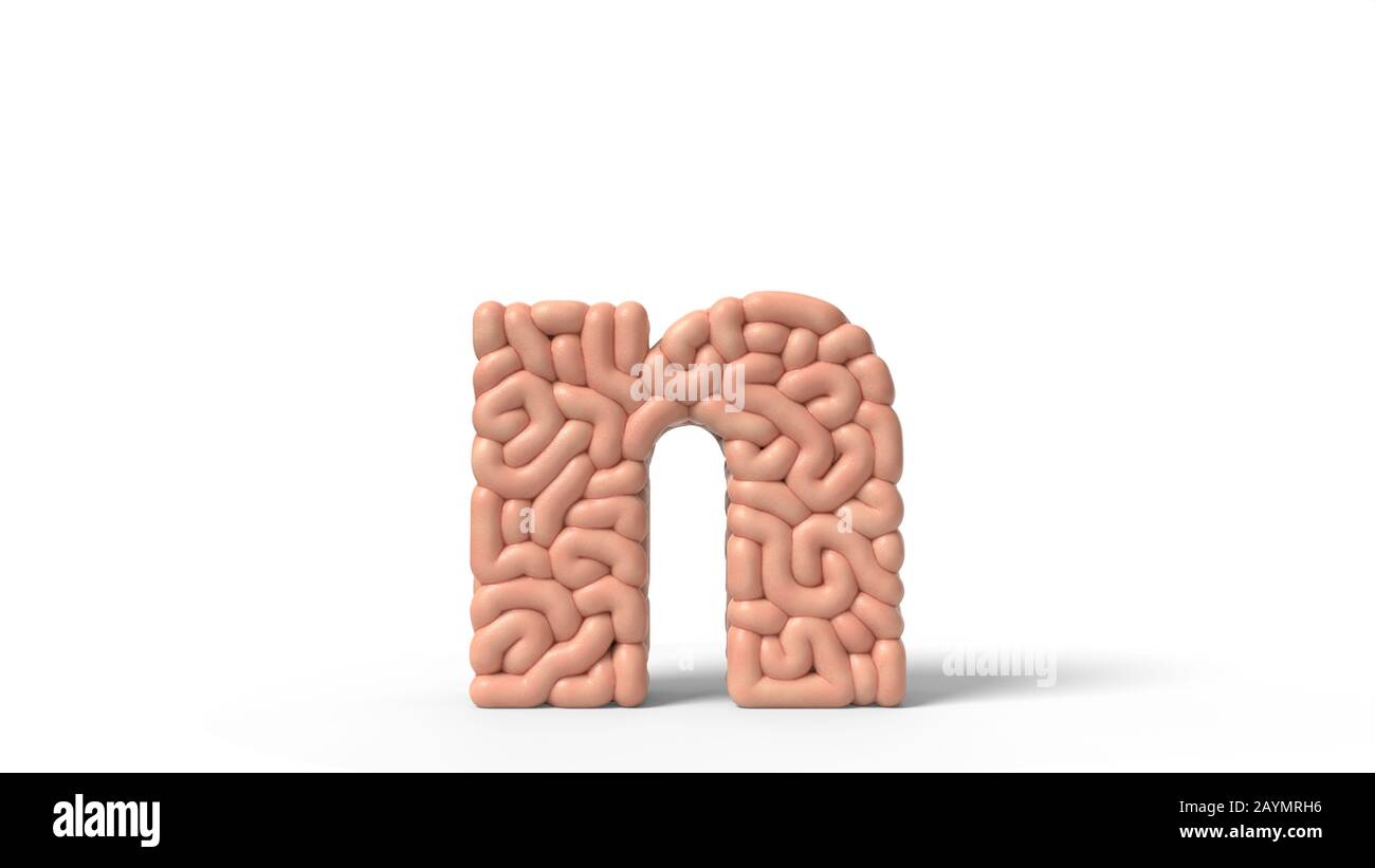 human brain in shape of letter n. suitable for brain, biology, medicine ...