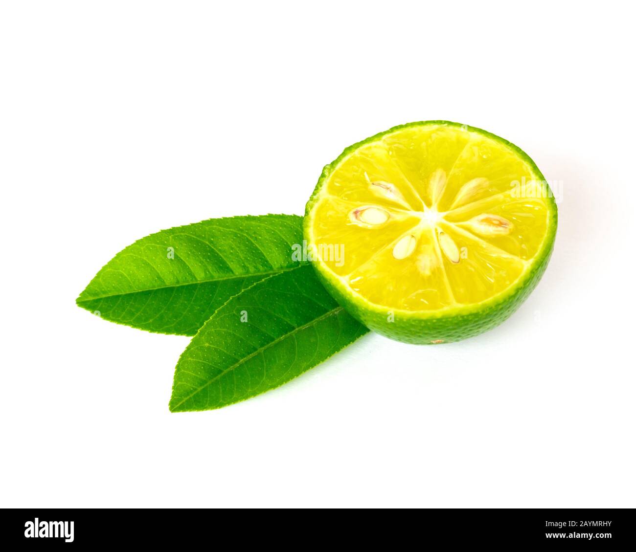 Half cut of organic Asian lime with leaves isolated on white Stock ...
