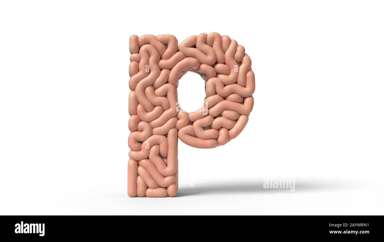 human brain in shape of letter p. suitable for brain, biology, medicine ...