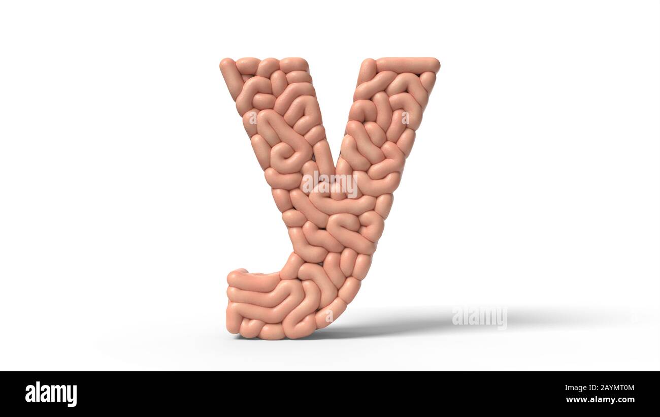 human brain in shape of letter y. suitable for brain, biology, medicine ...