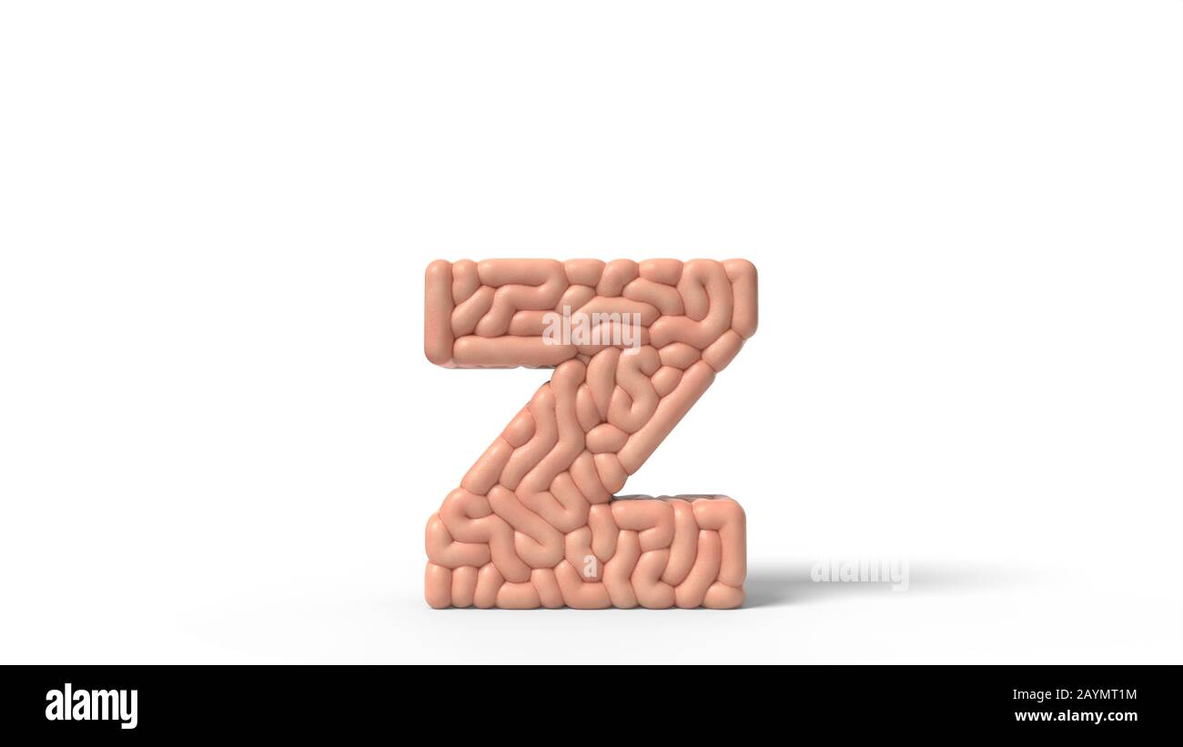 human brain in shape of letter z. suitable for brain, biology, medicine ...