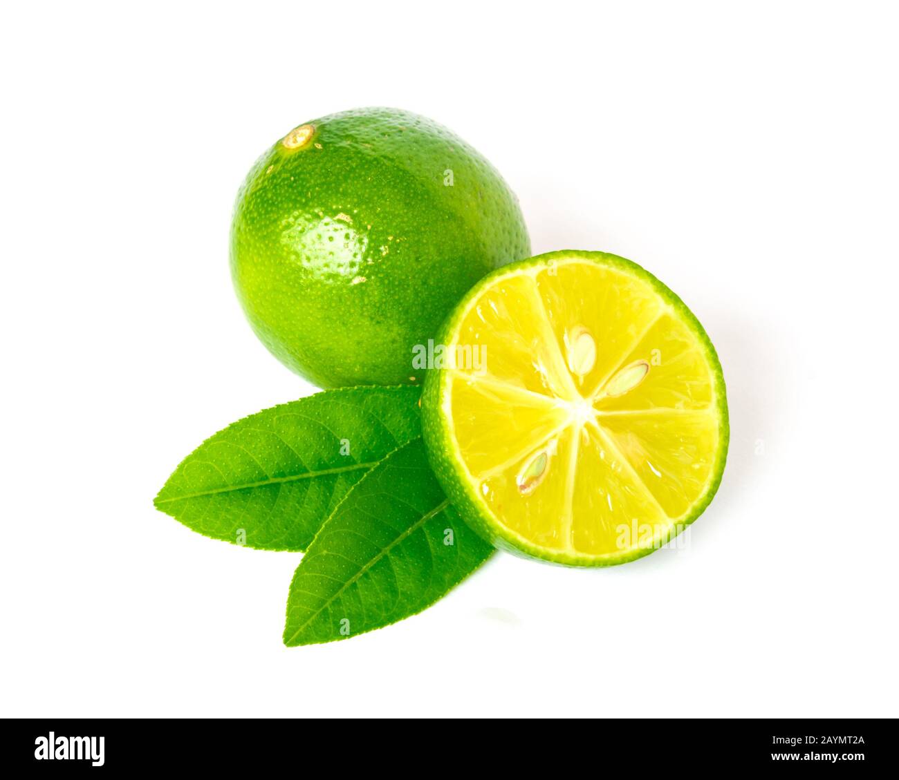 Studio shot single whole lime with slice cutout and leaves isolated on ...