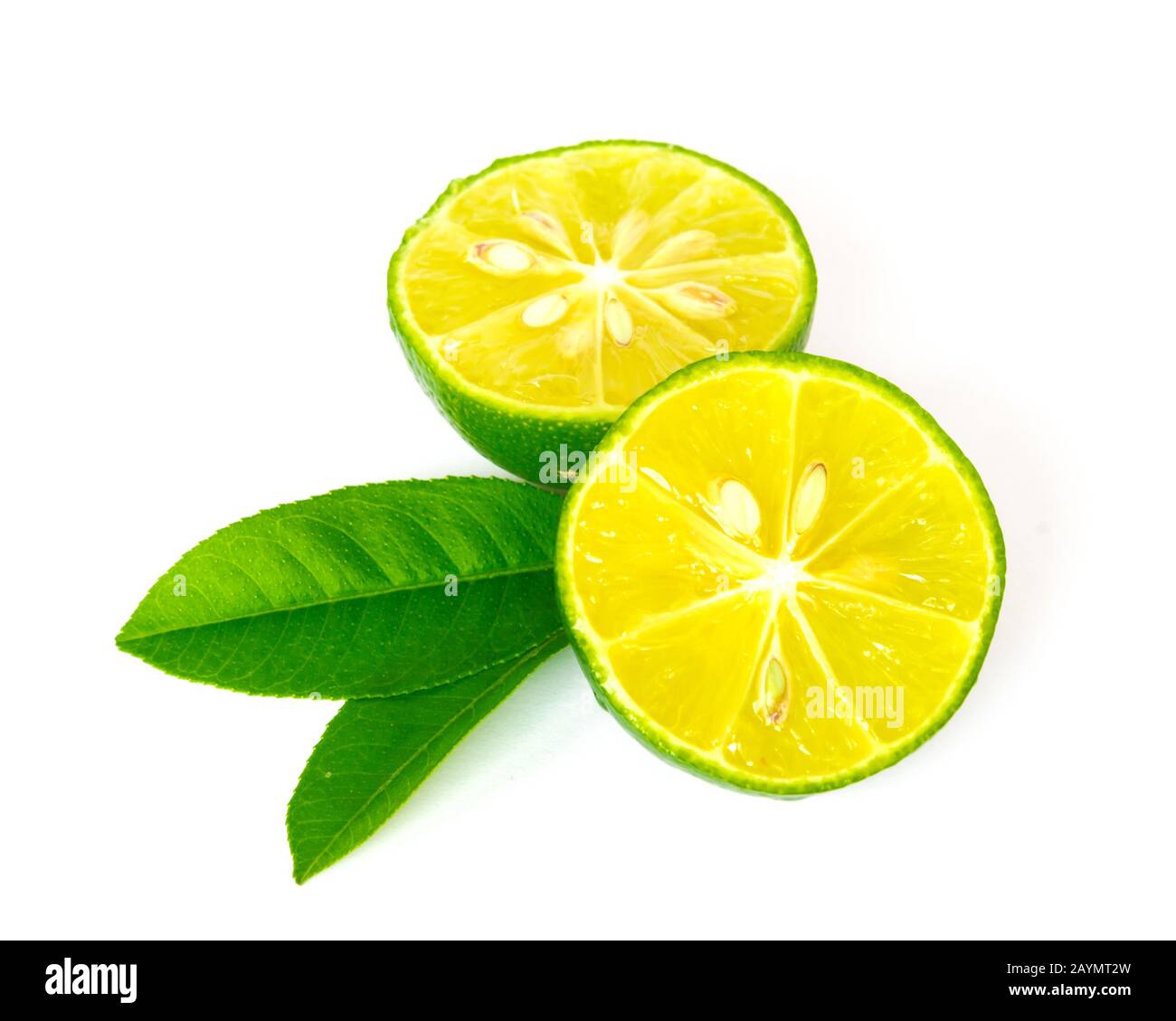 Two half cuts of homegrown Asian limes with leaves isolated on white ...
