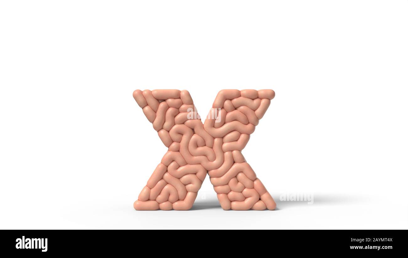 human brain in shape of letter x. suitable for brain, biology, medicine ...
