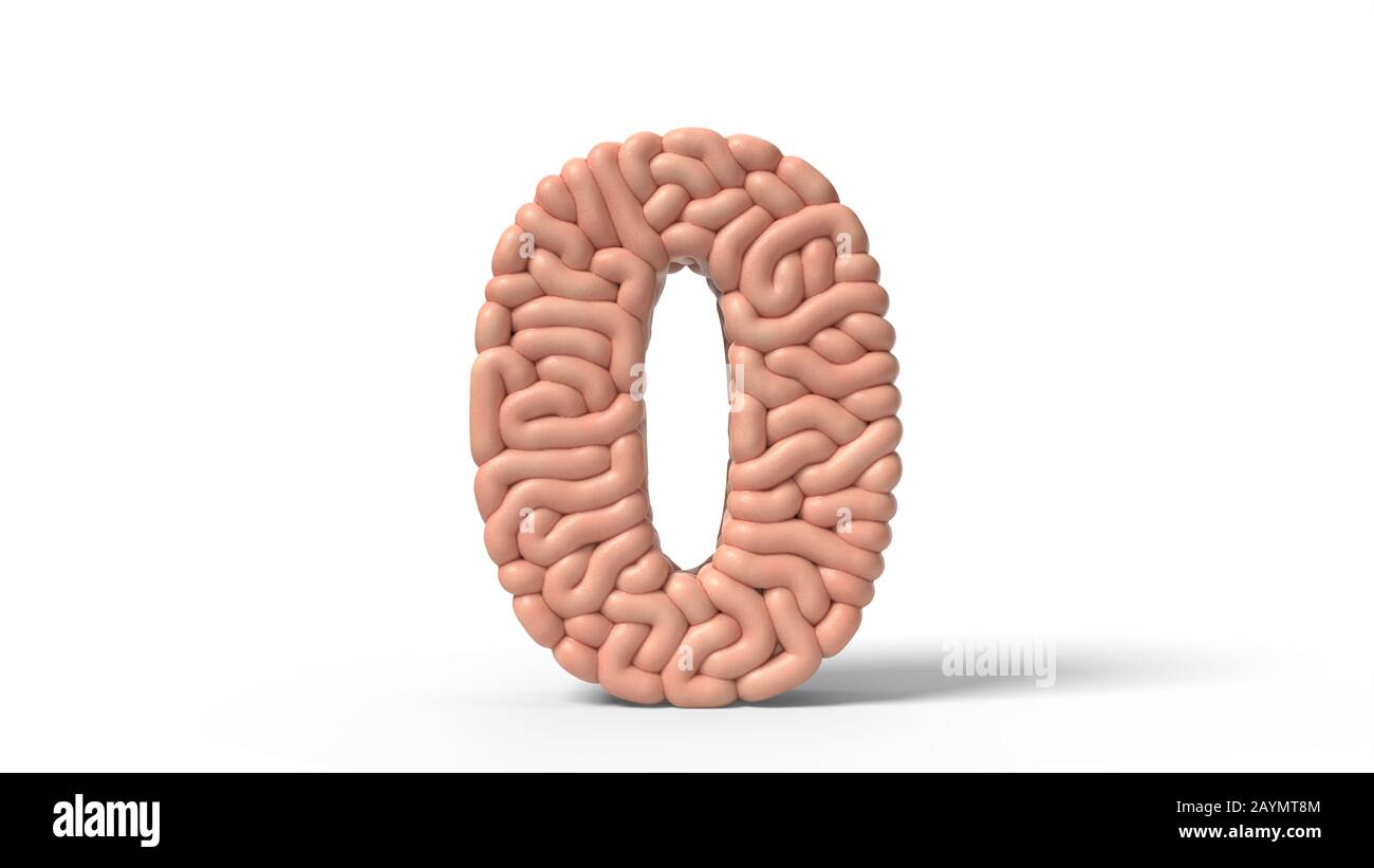 human brain in shape of number 0. suitable for brain, biology, medicine ...