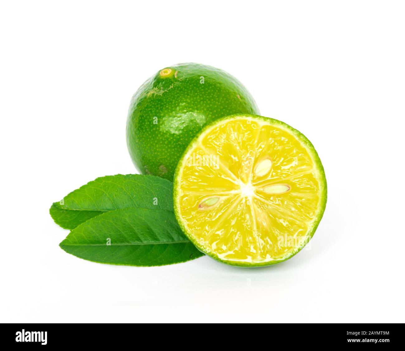 Studio shot single whole lime with slice cutout and leaves isolated on ...