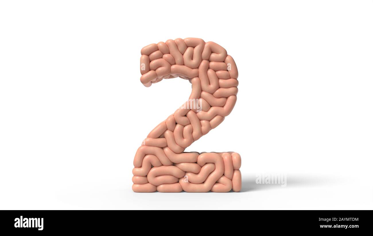 human brain in shape of number 2. suitable for brain, biology, medicine ...