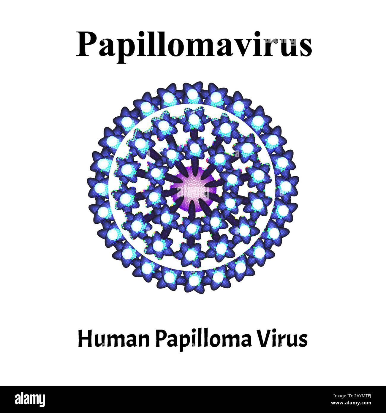 Papilloma is a human virus structure. Papilloma virus infection ...