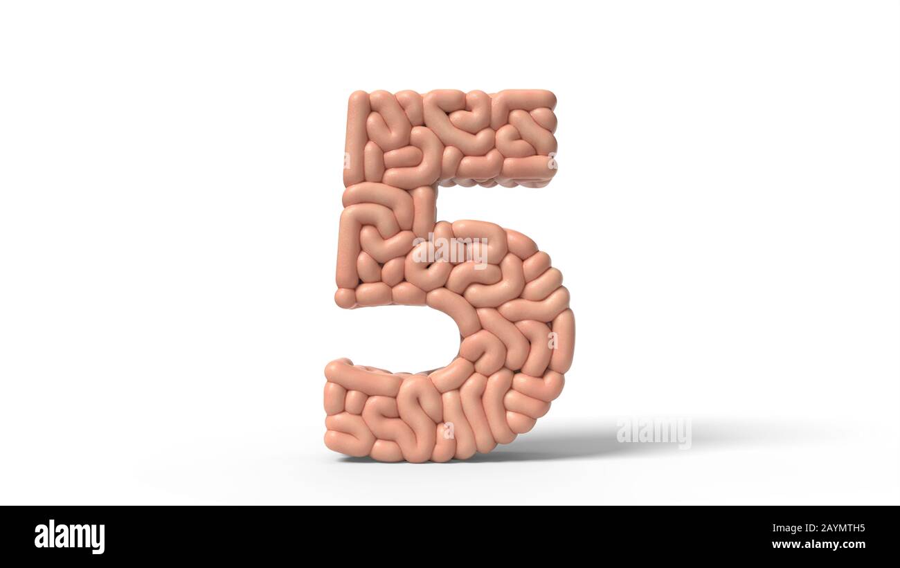 human brain in shape of number 5. suitable for brain, biology, medicine ...