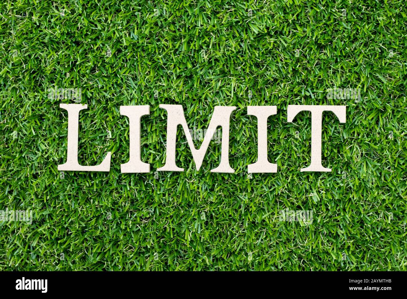 Wood alphabet letter in word limit on green grass background Stock ...